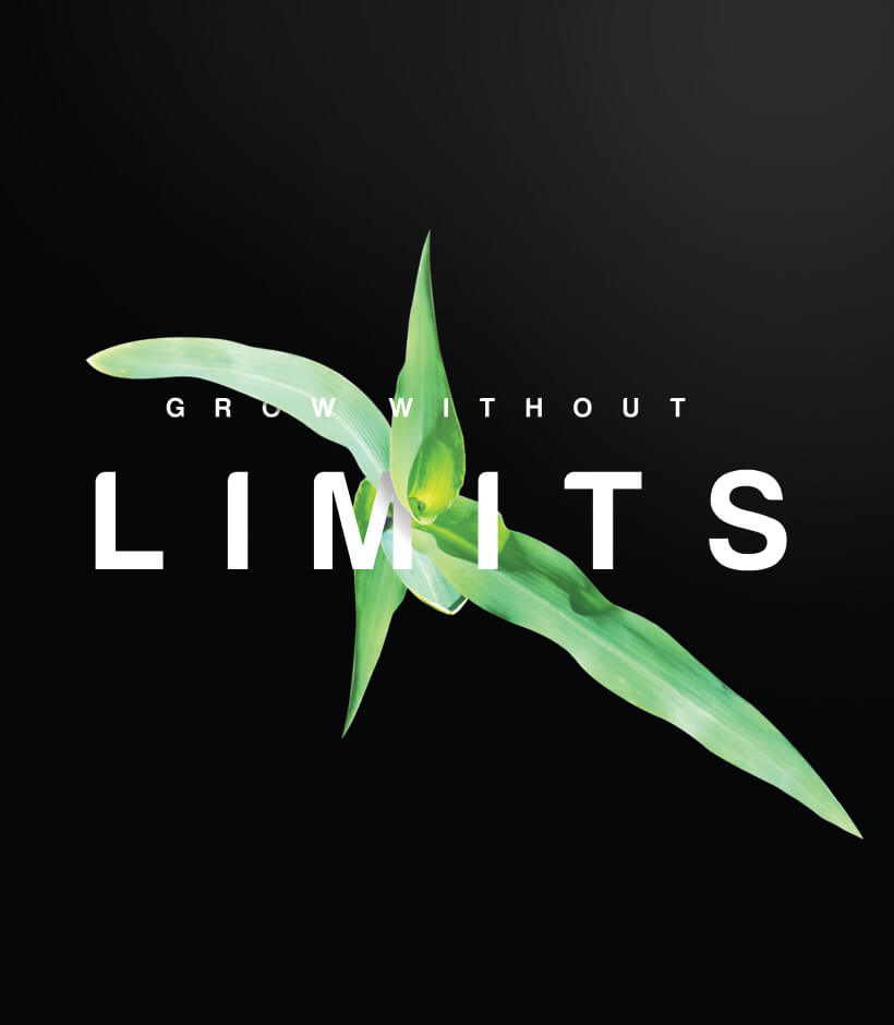 Portfolio - Meckler Marketing Consulting